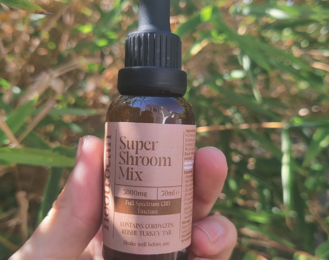 El Super Shroom Mix de Nootropic combina hongos y CBD en este potente adaptógeno - Express CBD Blog